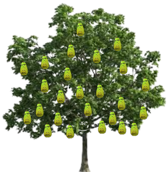 Patient-010 - The Soysylum